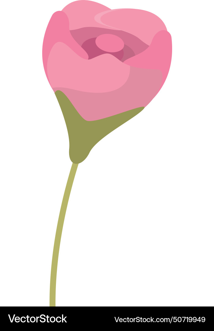 Colored flower icon spring season Royalty Free Vector Image