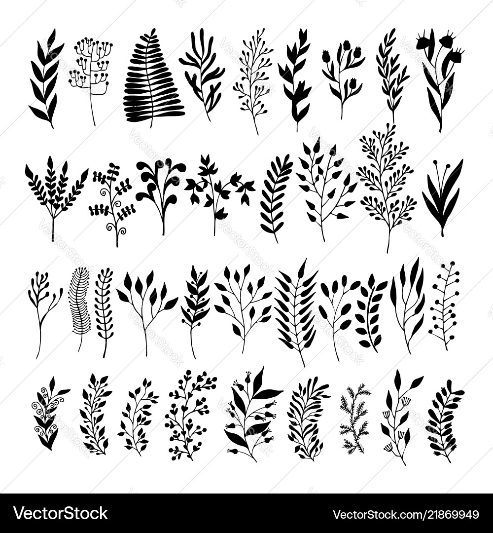 Floral elements in doodle style Royalty Free Vector Image