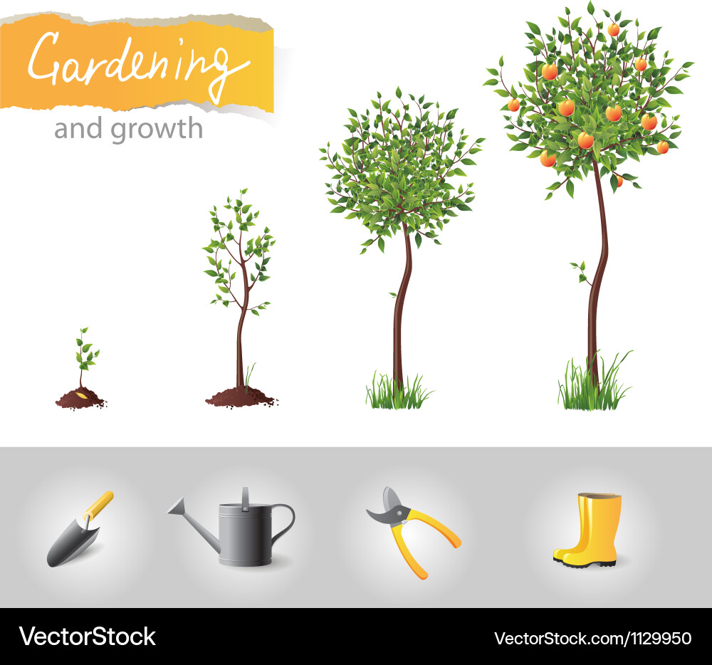 Gardening and growth Royalty Free Vector Image