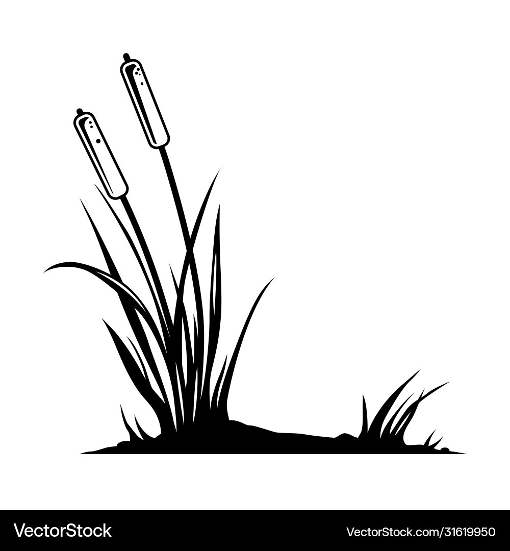 Reed plant vintage template Royalty Free Vector Image