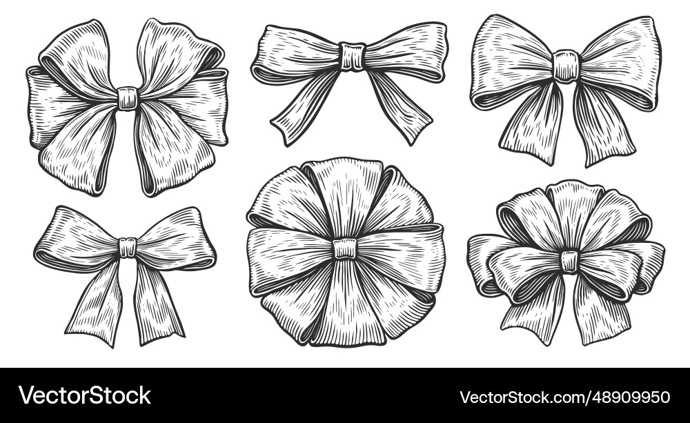 Set of sketch bows collection decorative Vector Image