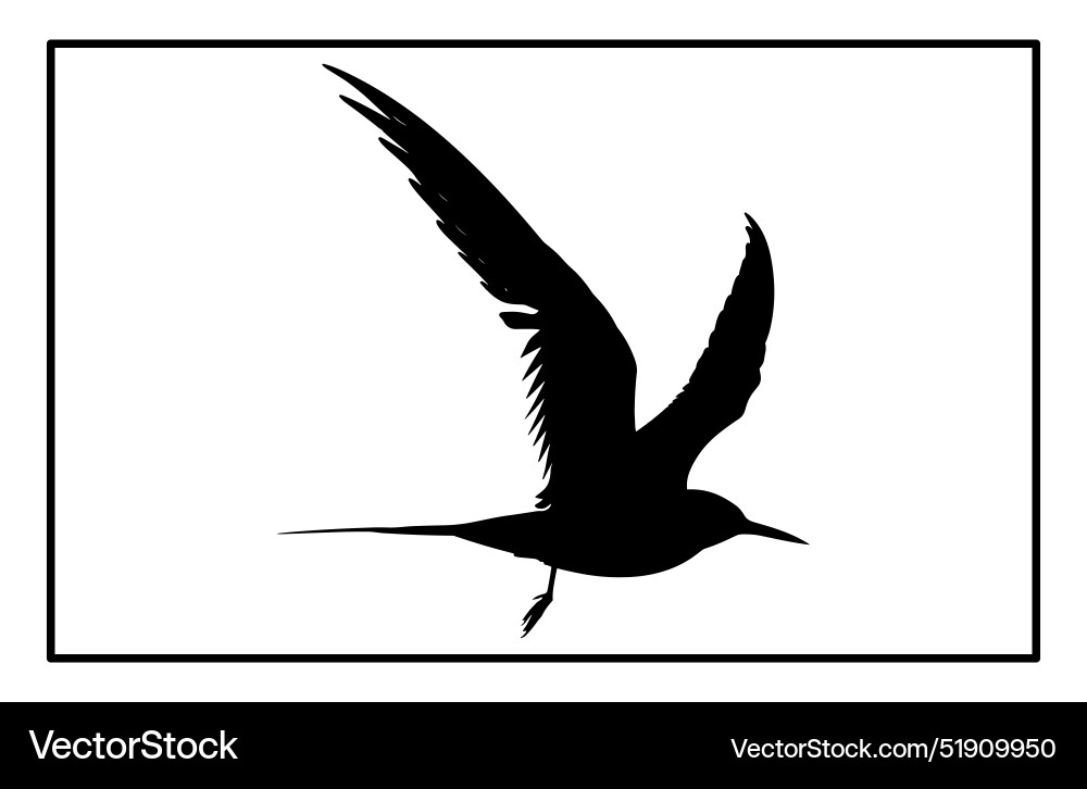 Silhouette of a flying arctic tern bird Royalty Free Vector