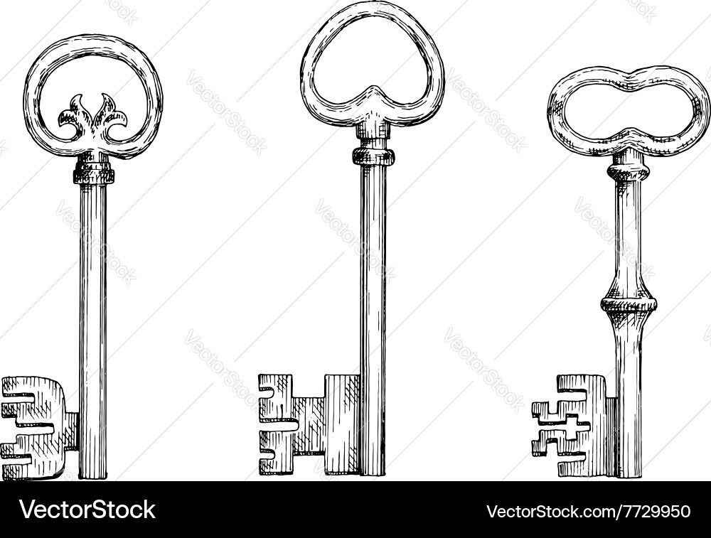 Vintage skeleton keys in engraving style Vector Image
