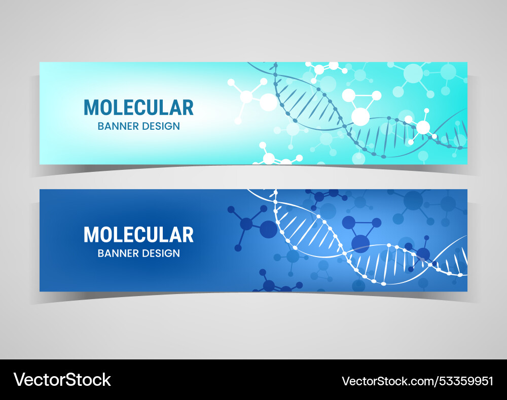 Biology science dna chain horizontal banners set Vector Image