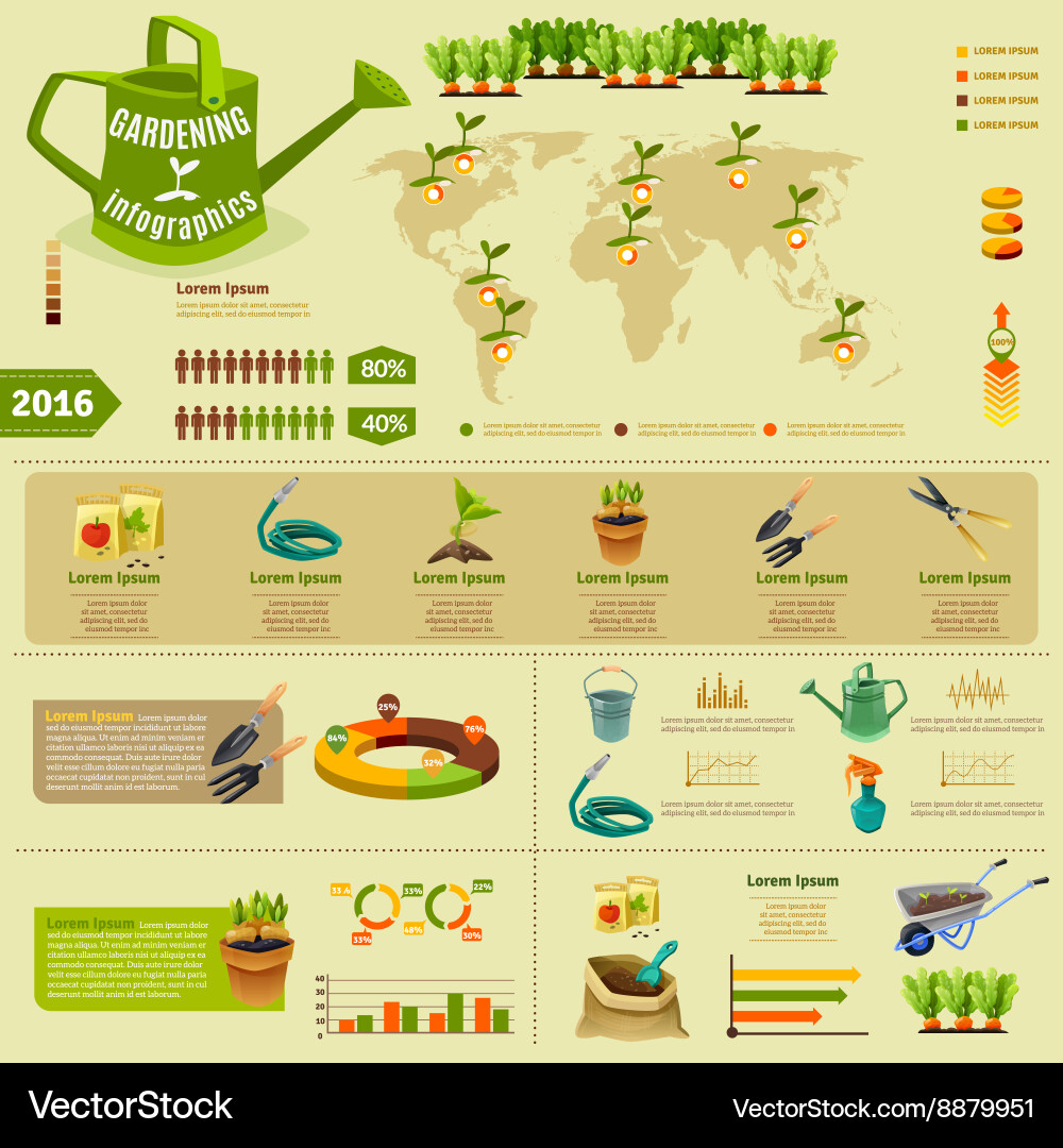 Gardening infographic layout Royalty Free Vector Image