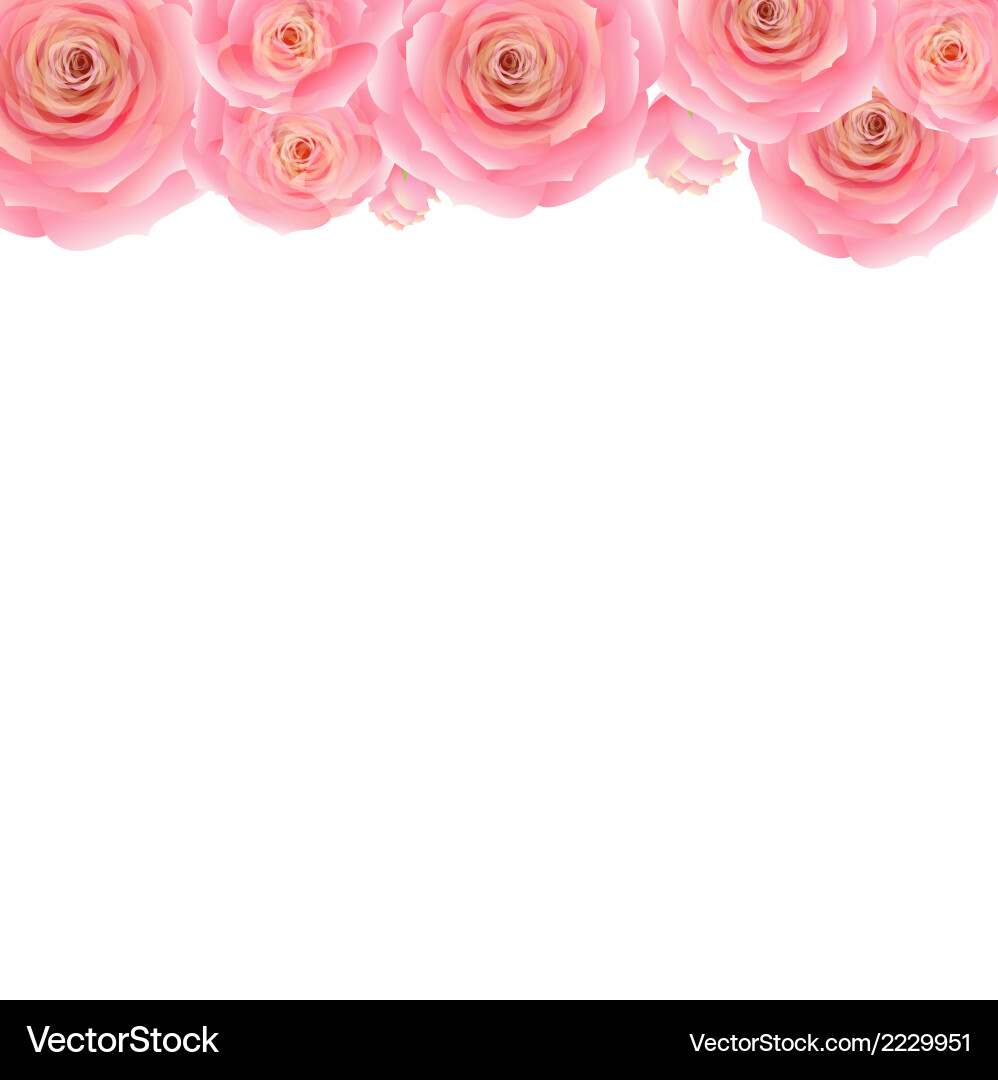 Pastel pink rose border Royalty Free Vector Image