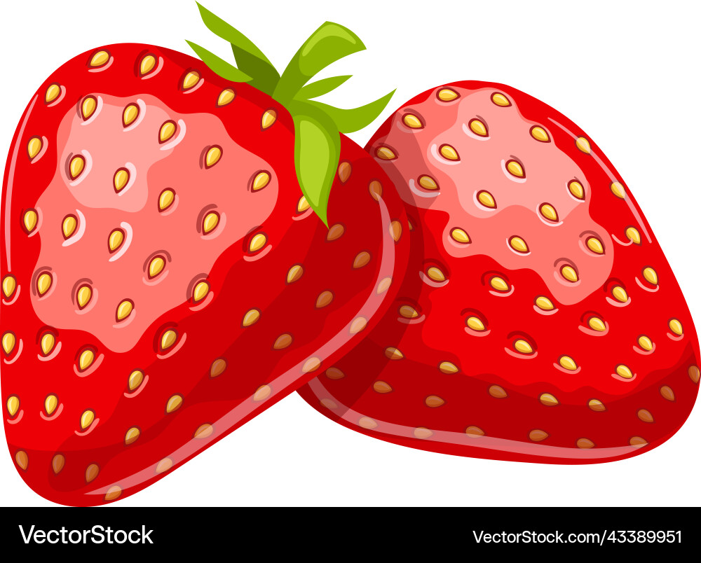 Strawberry cartoon Royalty Free Vector Image - VectorStock