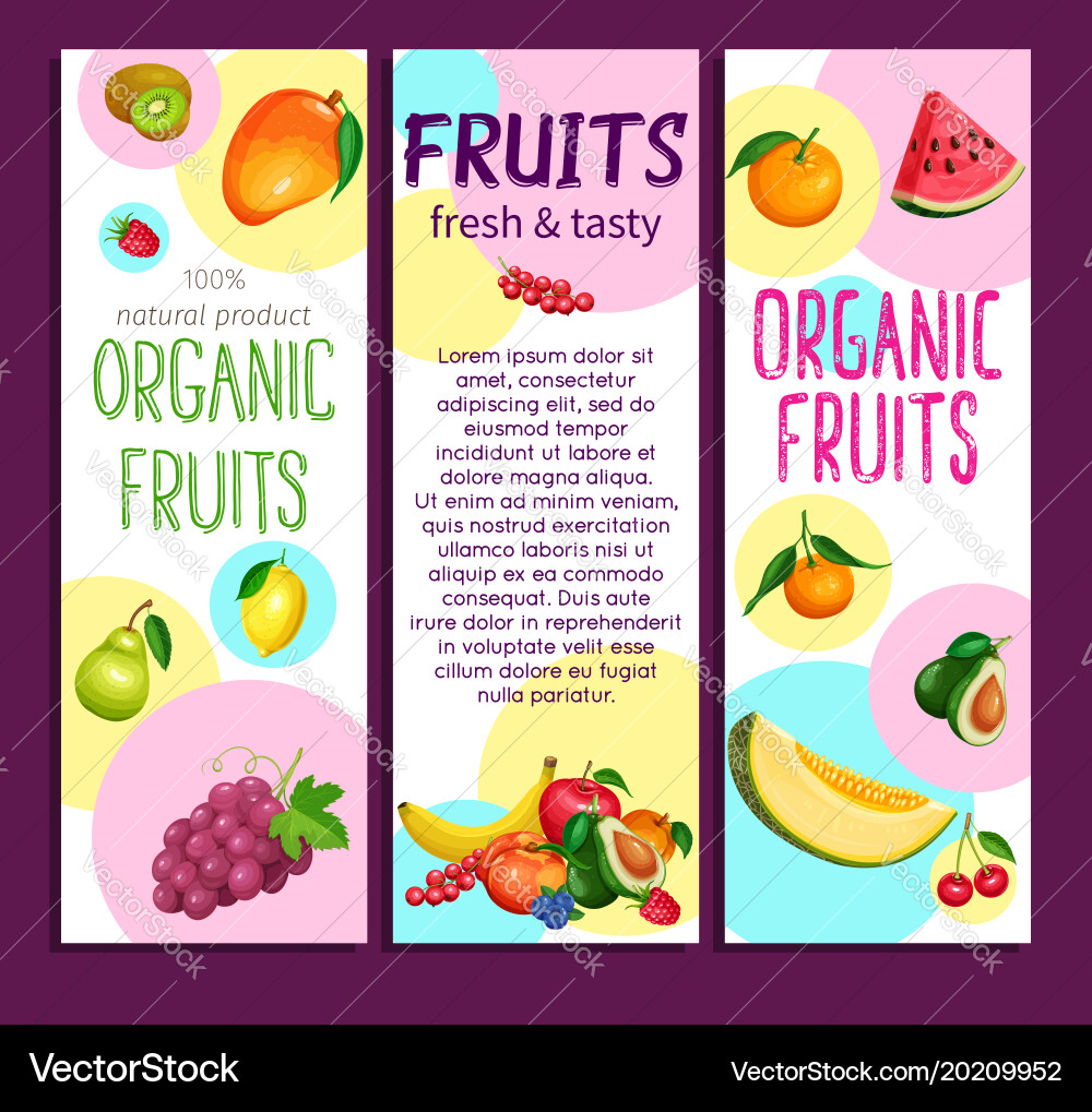 Fruits banners Royalty Free Vector Image - VectorStock