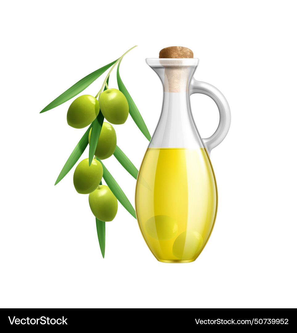 Olive oil Royalty Free Vector Image - VectorStock