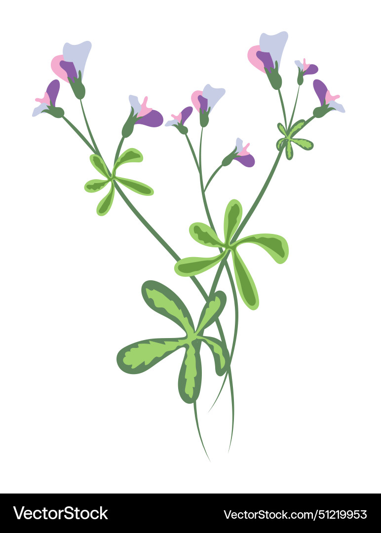 Purple pea flower on twig in flat design Vector Image