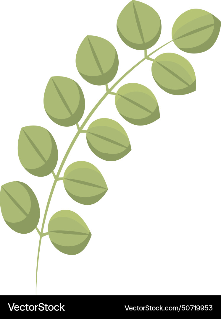 Tree leaf colored icon Royalty Free Vector Image