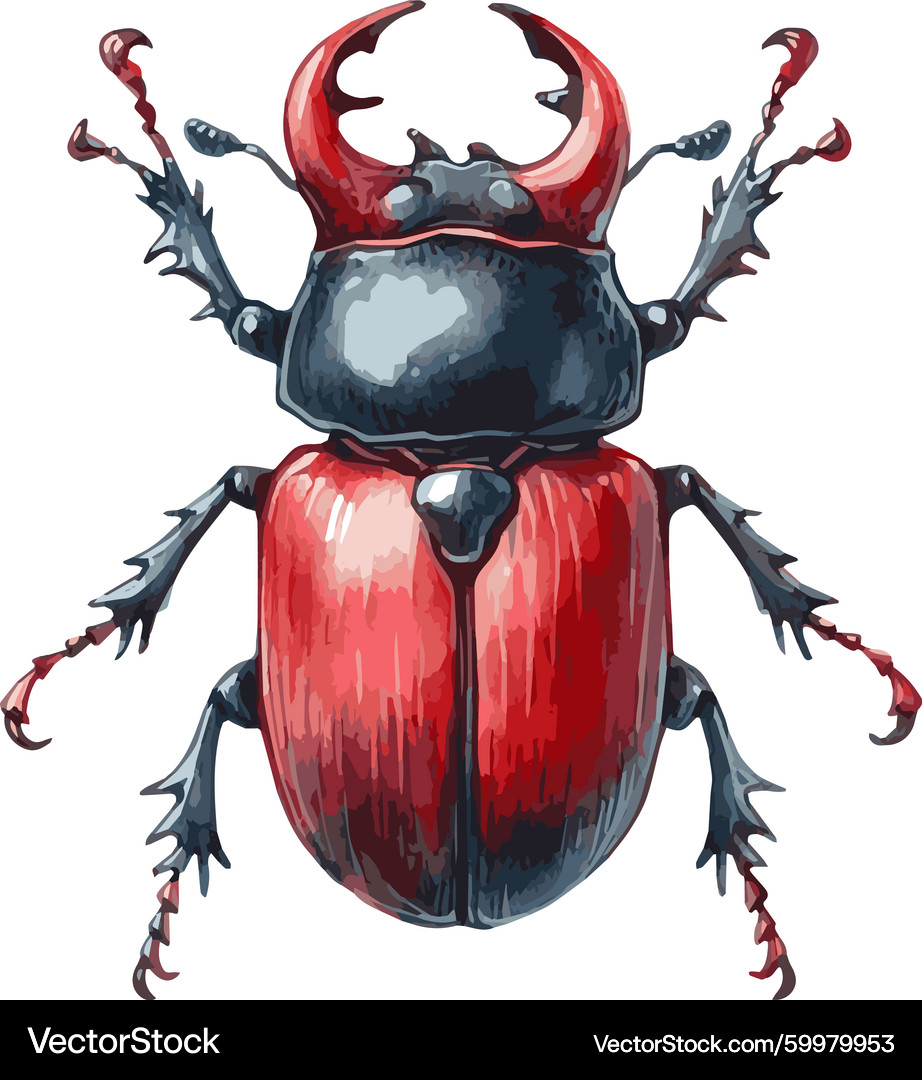 Watercolor Beetle Art Royalty Free Vector Image