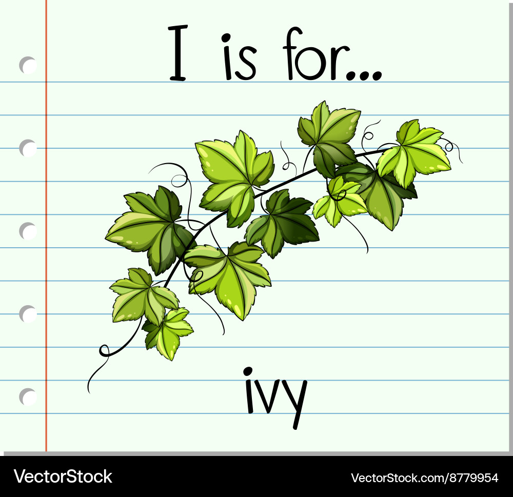 Flashcard alphabet i is for ivy Royalty Free Vector Image