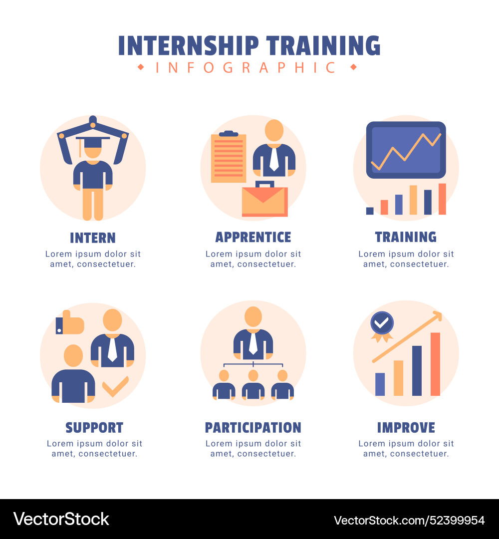 Internship training infographic Royalty Free Vector Image