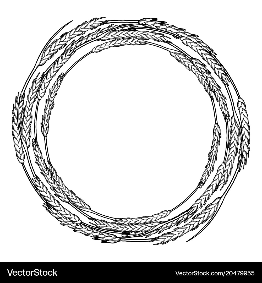 Graphic malt wreath Royalty Free Vector Image - VectorStock