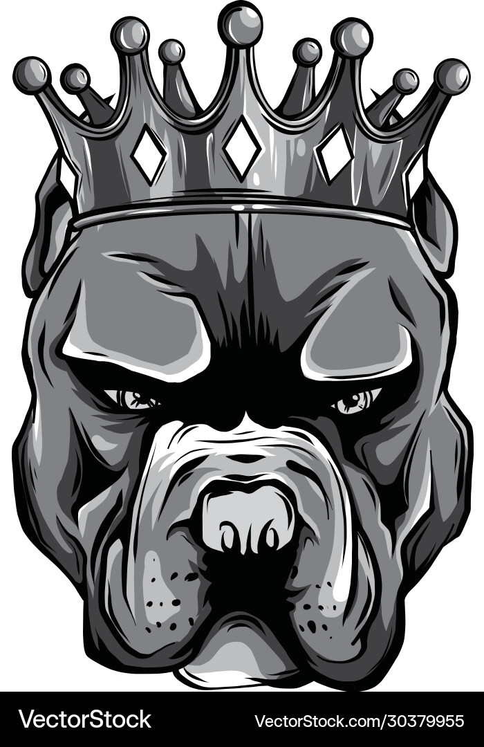 King Pit Bull Head Royalty Free Vector Image - VectorStock