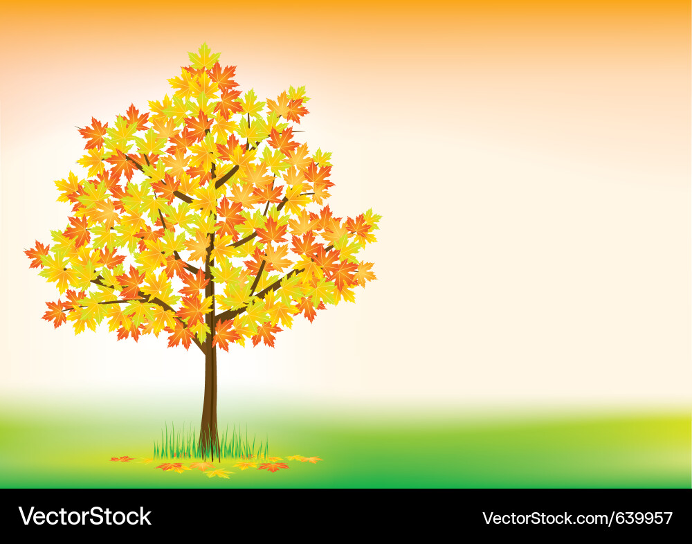 Autumn Maple Tree Royalty Free Vector Image - VectorStock