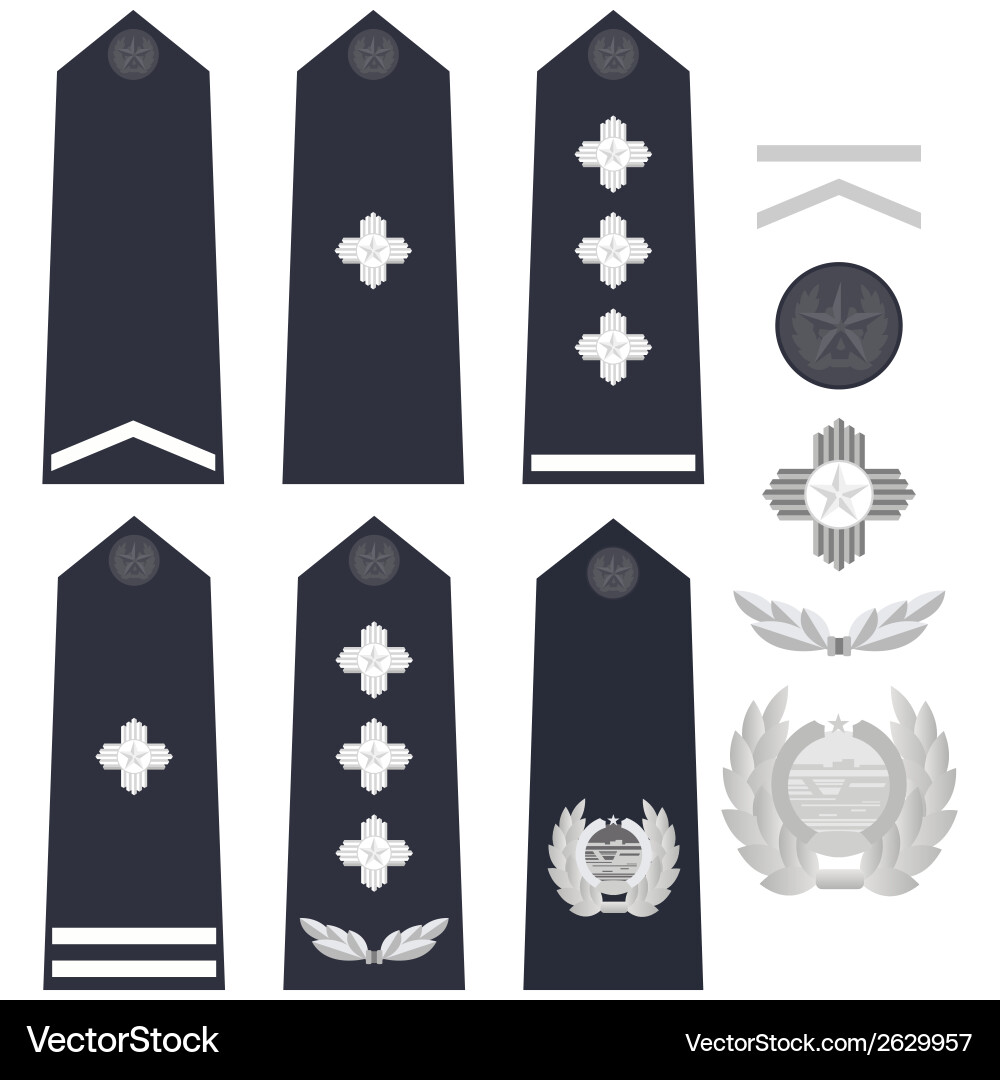 Chinese police insignia Royalty Free Vector Image
