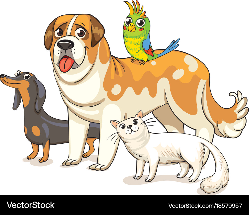 Dogs a cat and parrot standing together Royalty Free Vector