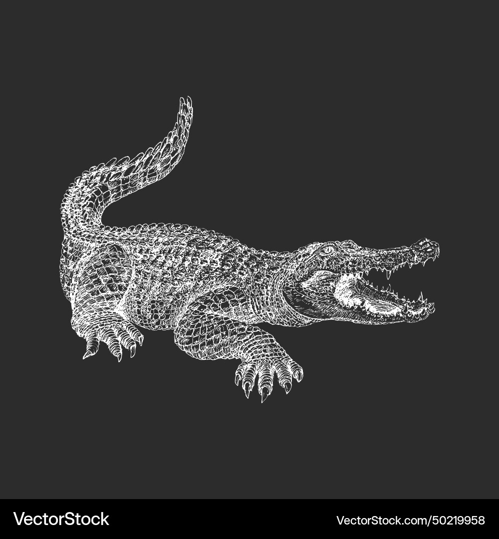 Alligator vintage hand drawn sketch Royalty Free Vector