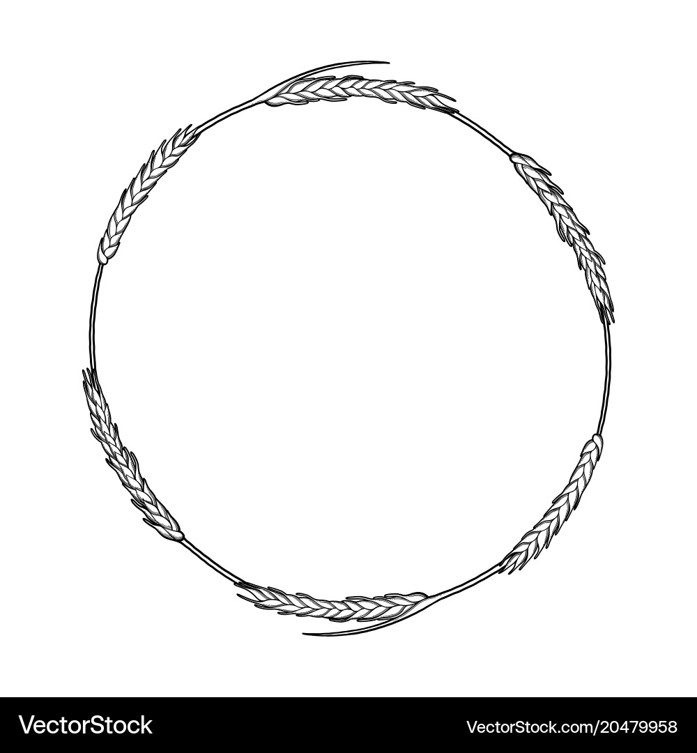 Malt Wreath with Barley and Wheat Royalty Free Vector Image