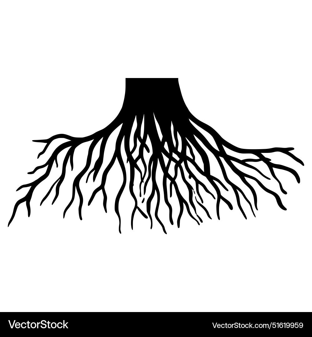 Doodle sketch style of tree root Royalty Free Vector Image