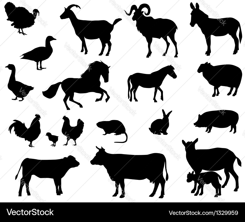 Farm animals Royalty Free Vector Image - VectorStock