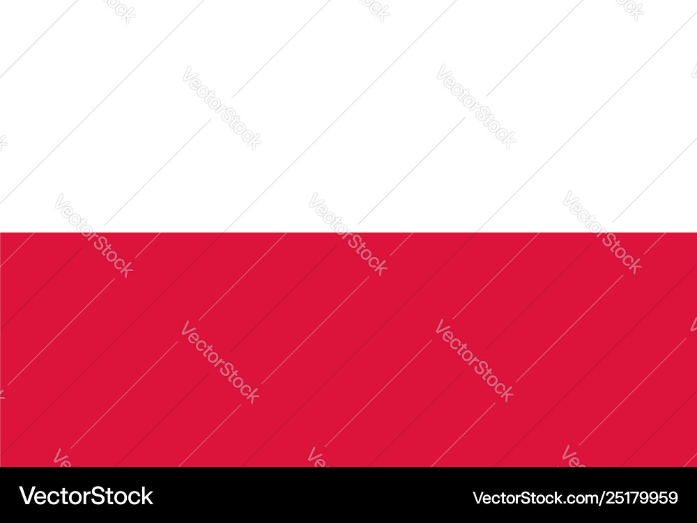 Flag rectangular shape Royalty Free Vector Image