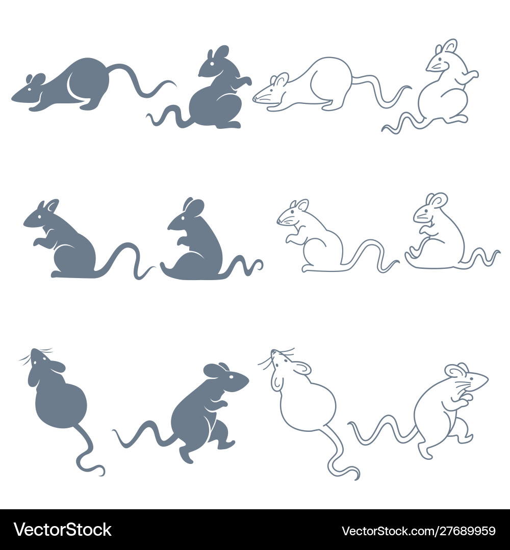 Rat Top View Vector Images (33)