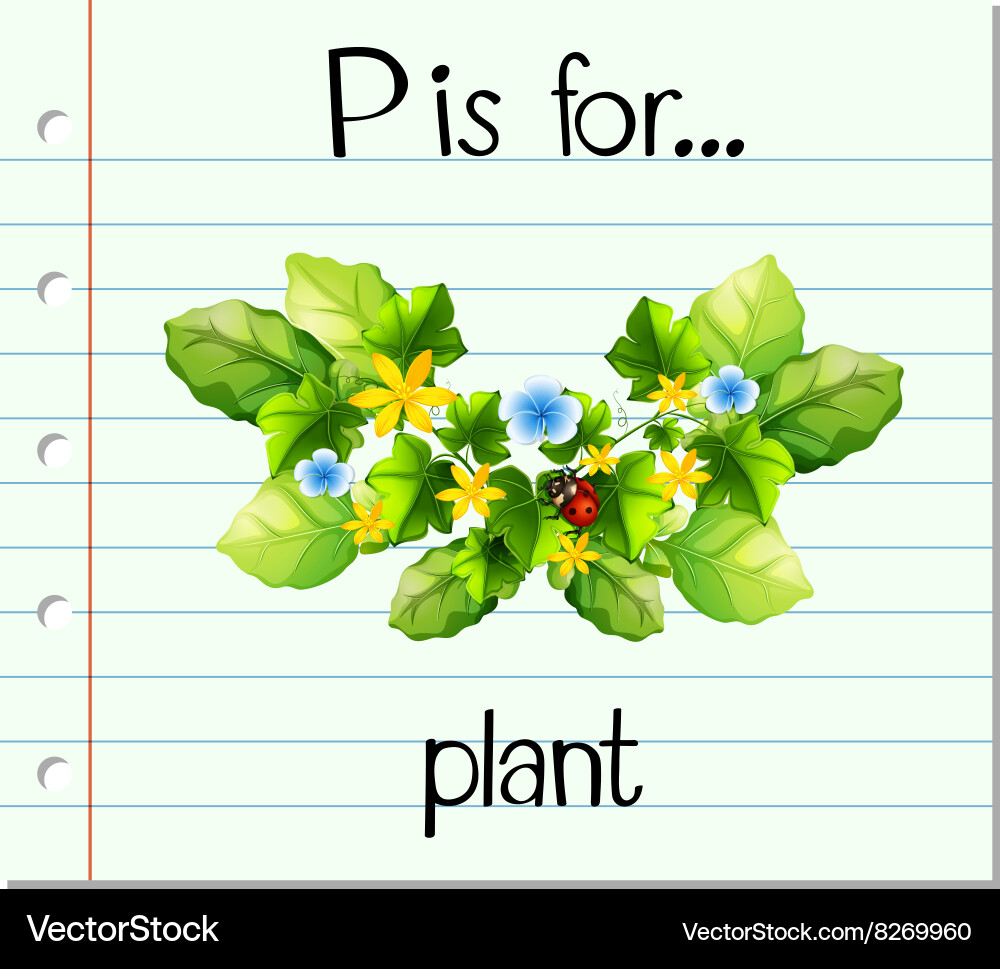 Flashcard letter p is for plant Royalty Free Vector Image