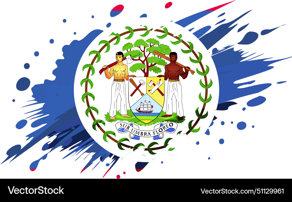 Belize flag painted with grunge brush stroke Vector Image