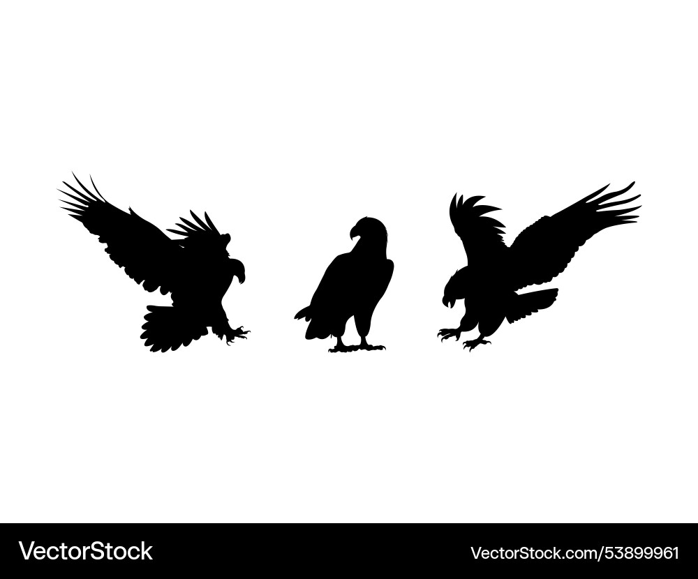 Bald Eagle Silhouette Pattern Bald Eagle Silhouette Isolated On White.
