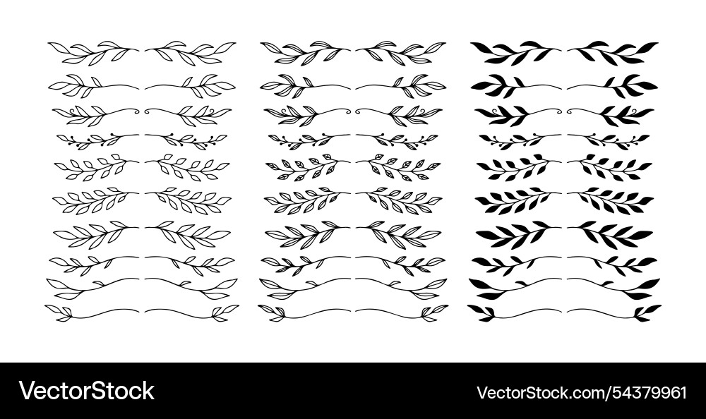 Hand drawn floral text divider isolated doodle Vector Image