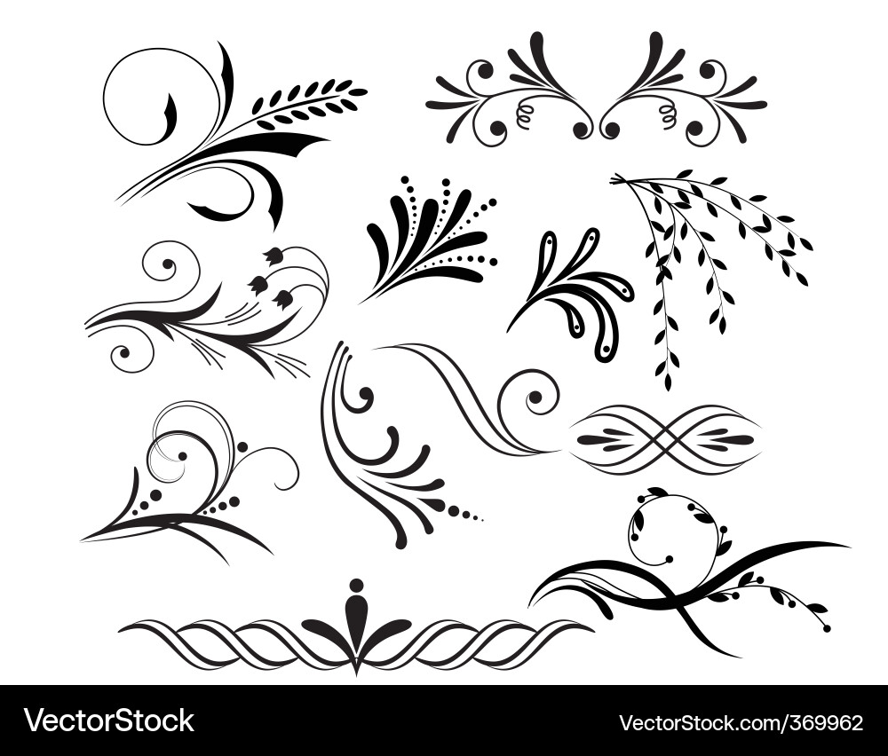 Floral elements Royalty Free Vector Image - VectorStock