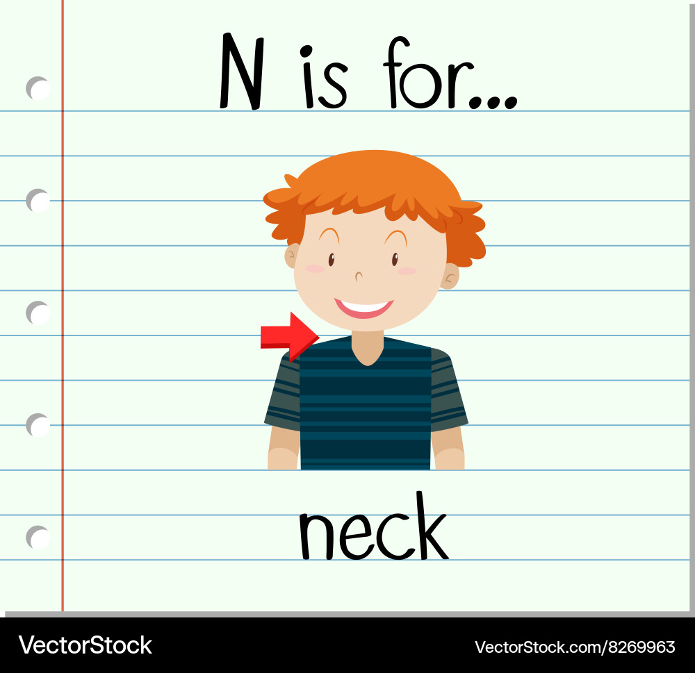Flashcard alphabet n is for neck Royalty Free Vector Image
