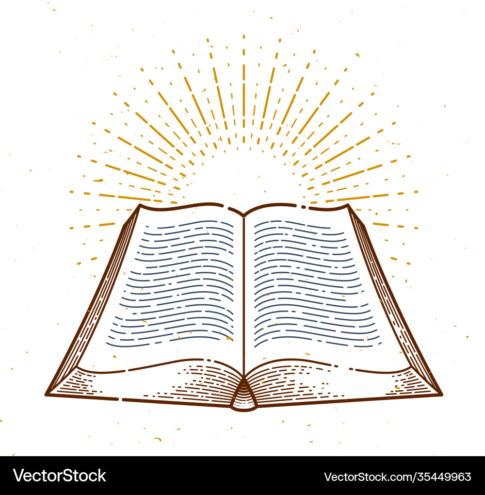 Vintage open book graphic design element logo Vector Image