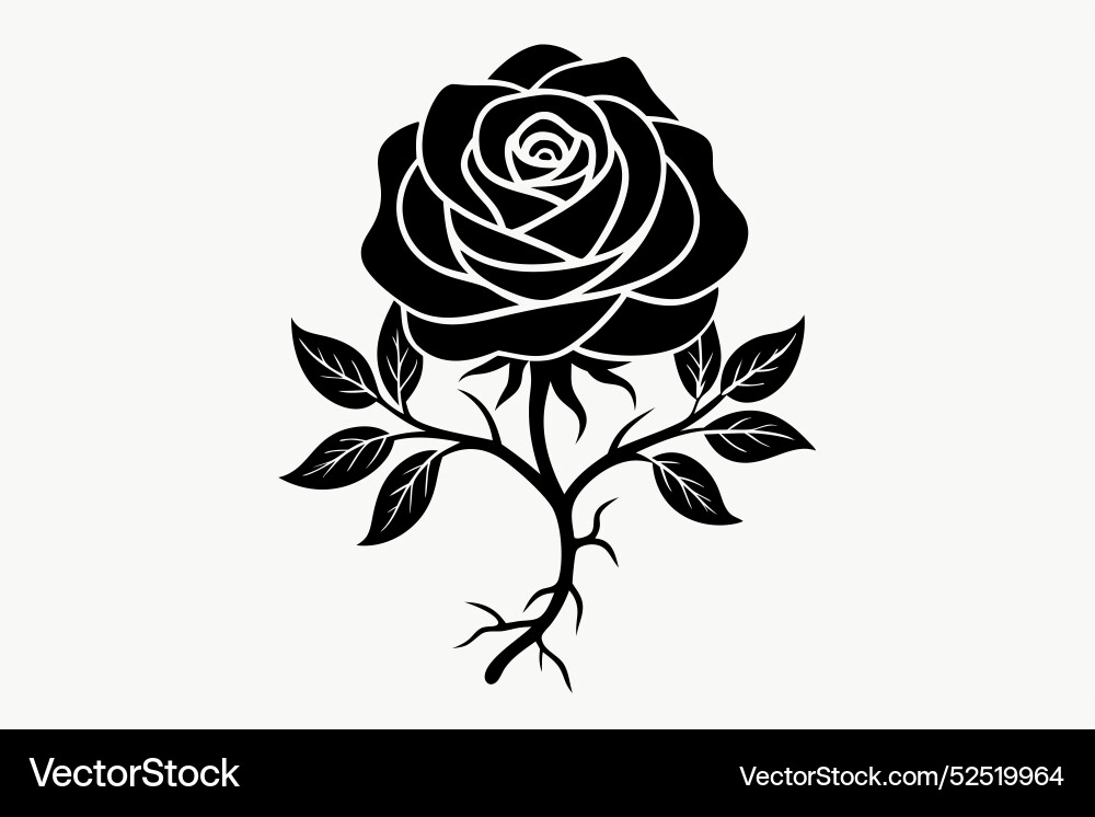 Rose flower root silhouette g Royalty Free Vector Image