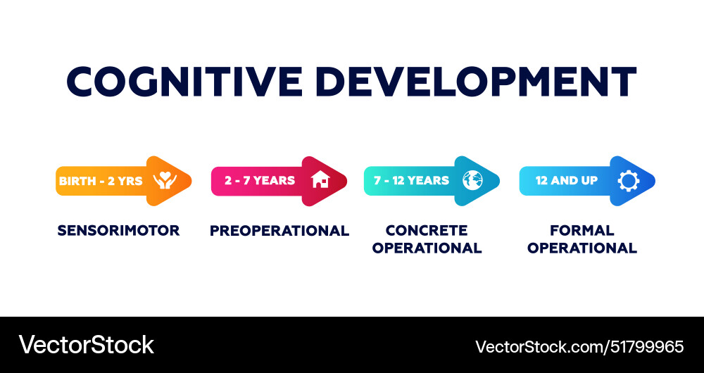 Cognitive development intelligence and education Vector Image