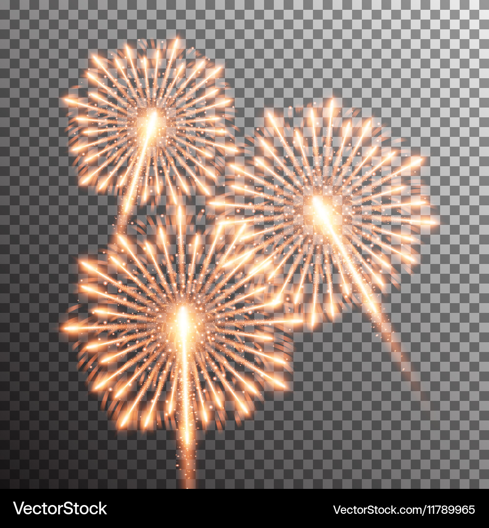 Isolated realistic fireworks Royalty Free Vector Image