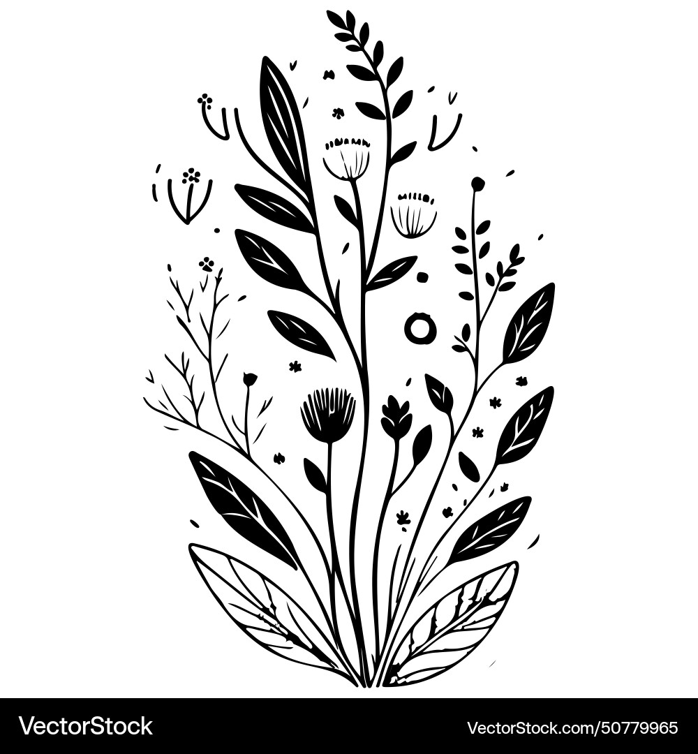 Spring leaf flower field wild flowers floral Vector Image