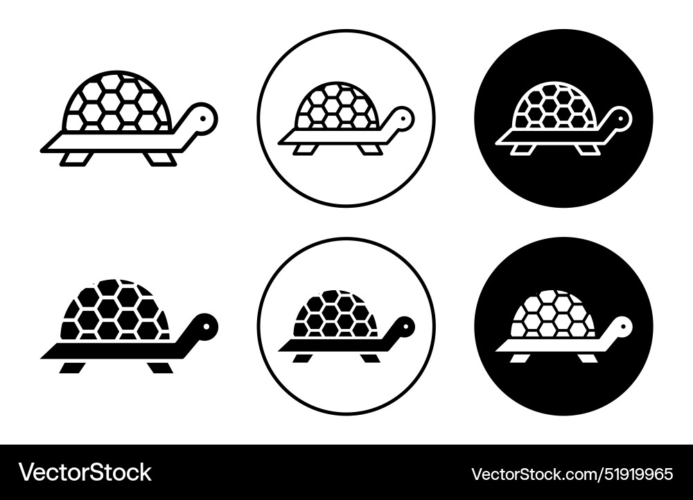 Turtle icon collection of outline thin line Vector Image