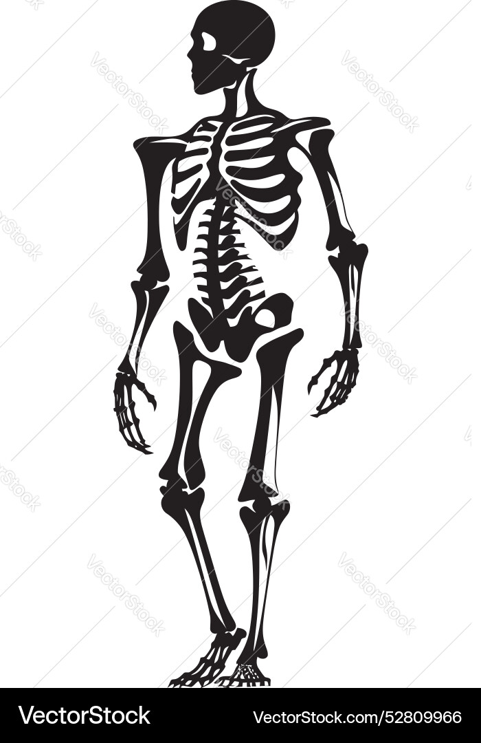 Cracked creations skeleton icon shattered spine Vector Image