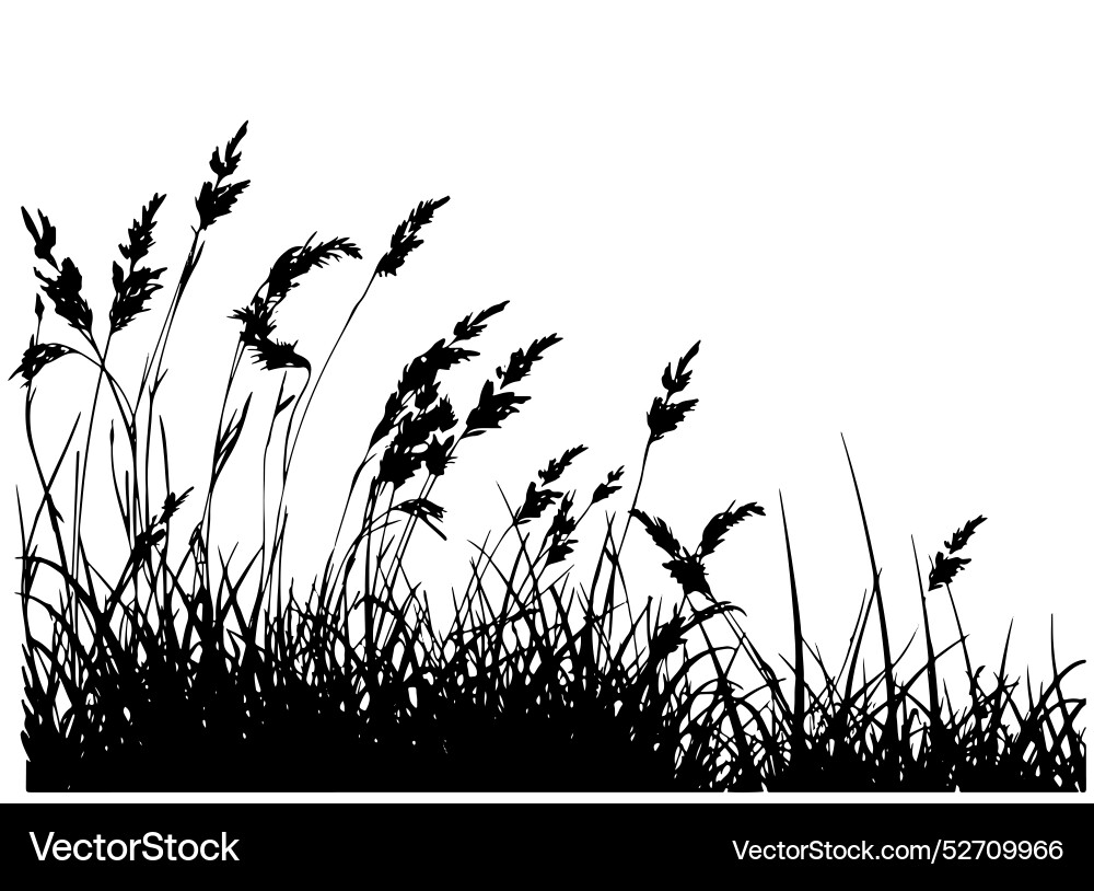 Doodle grass collection hand drawn style Vector Image