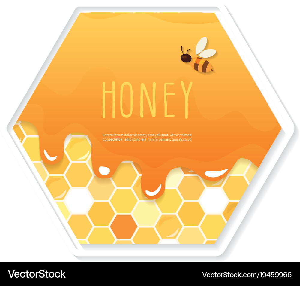 Package design hexagon shape label pattern Vector Image