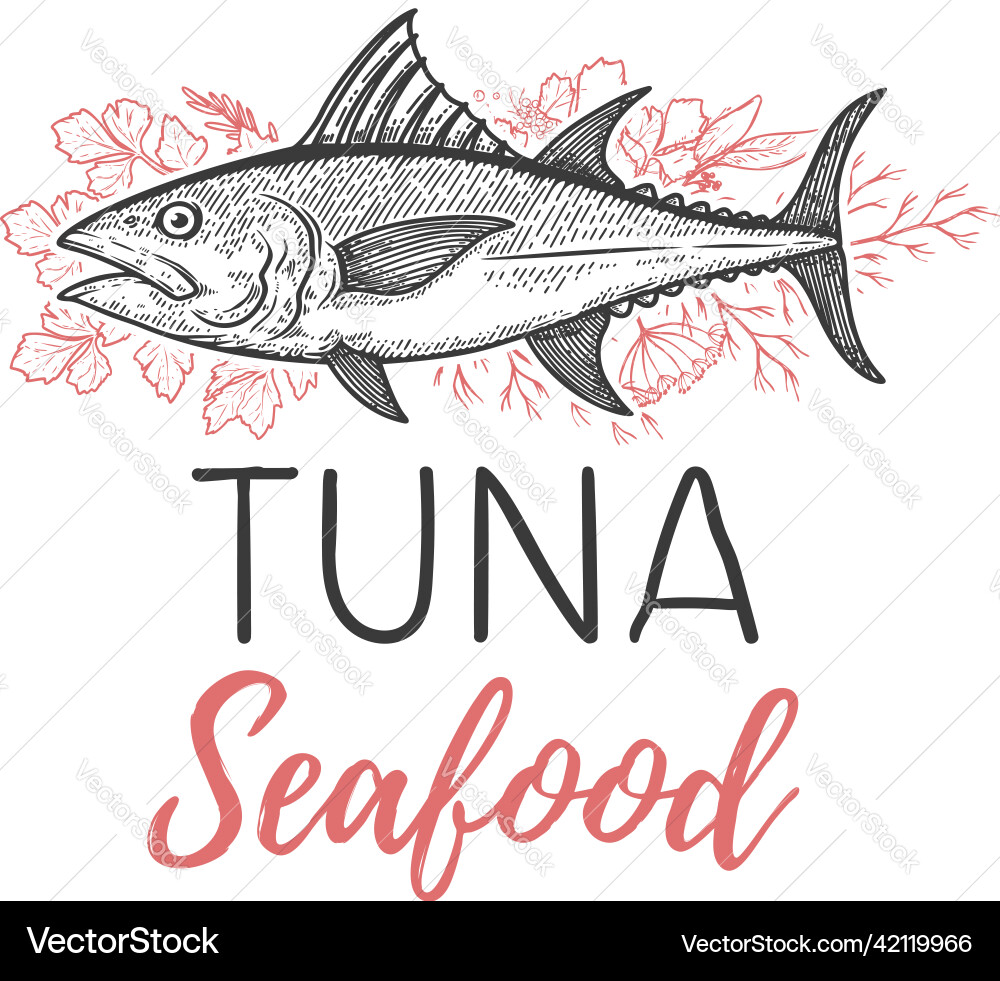 Tuna fish in engraving style design element Vector Image