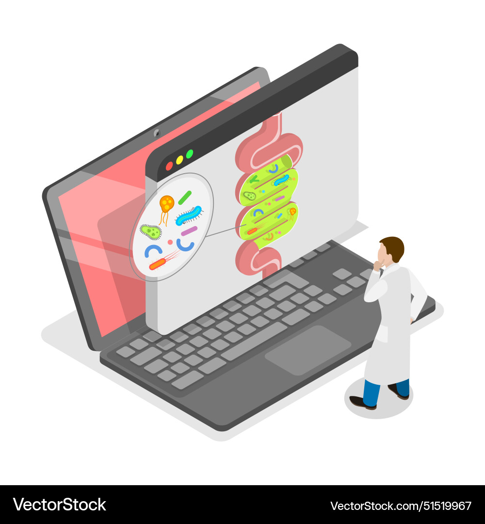 3d isometric flat of digestive tract Royalty Free Vector
