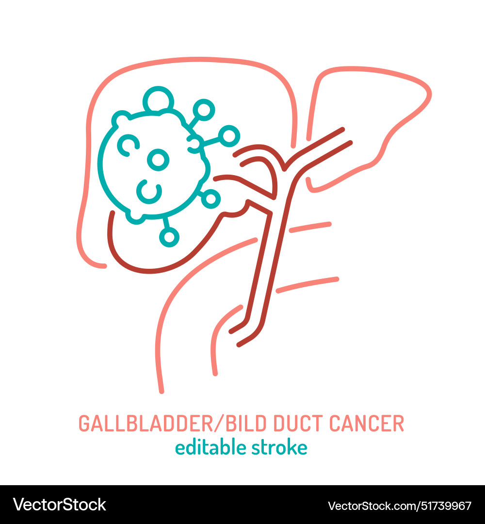 Gallbladder bild duct cancer icon outline Vector Image