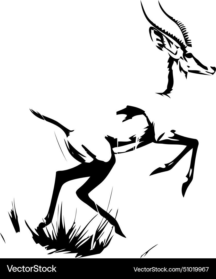 Impala in the grass isolated on white background Vector Image