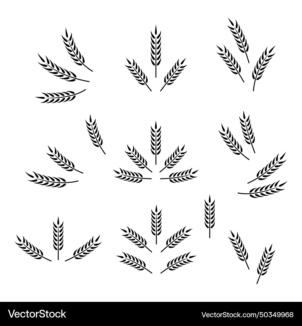 Flat agriculture wheat icon set isolated Vector Image