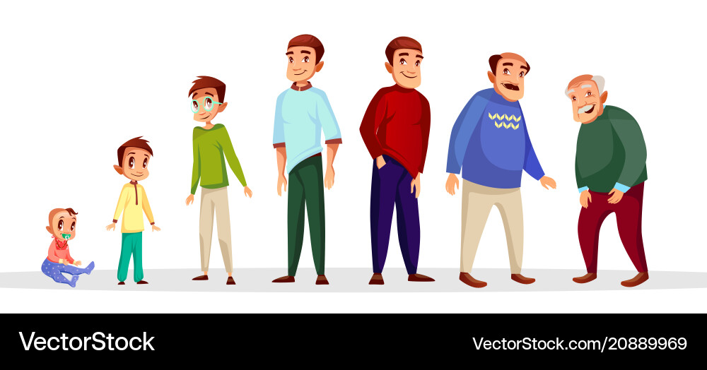 Cartoon growth and aging process concept Vector Image
